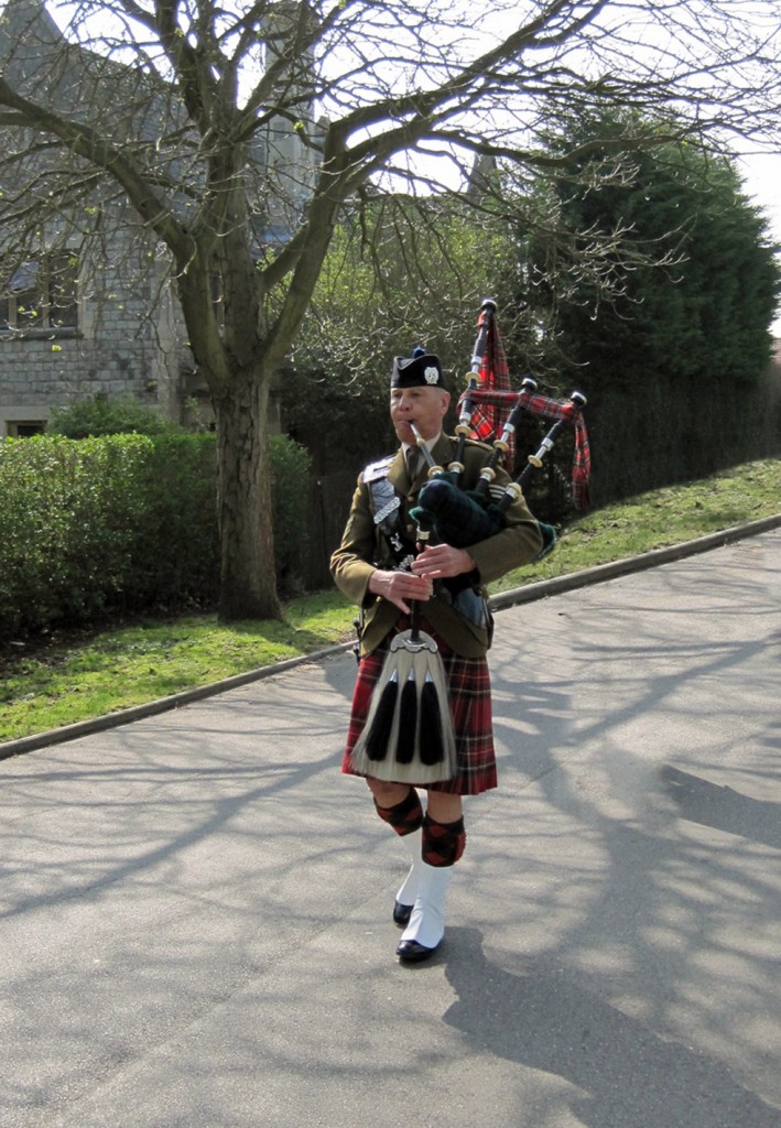 Bagpipe vs. Harp | Cat Rotator's Quarterly
